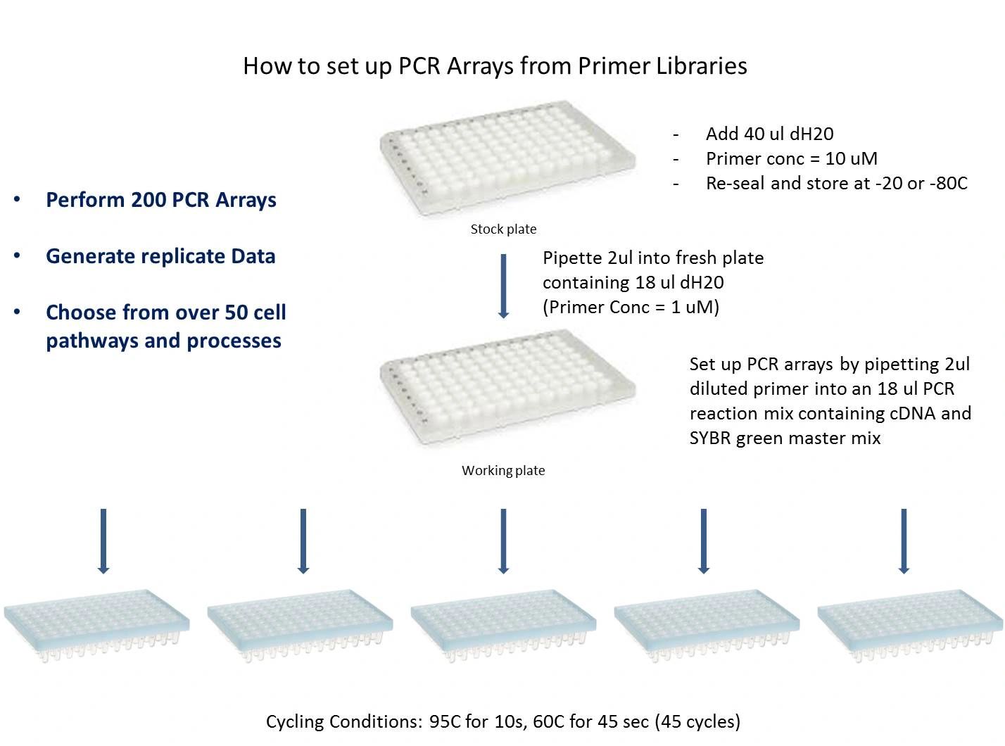 PCR Array Quantitation